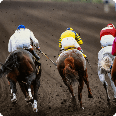 Horse Racing Betting Online | DK Horse